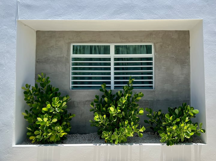 Exclusive: Spacious & Fully Equipped - Ponce