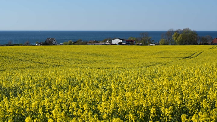 Möve Aba An Der Ostsee In Meschendorf (App 11) - Rerik