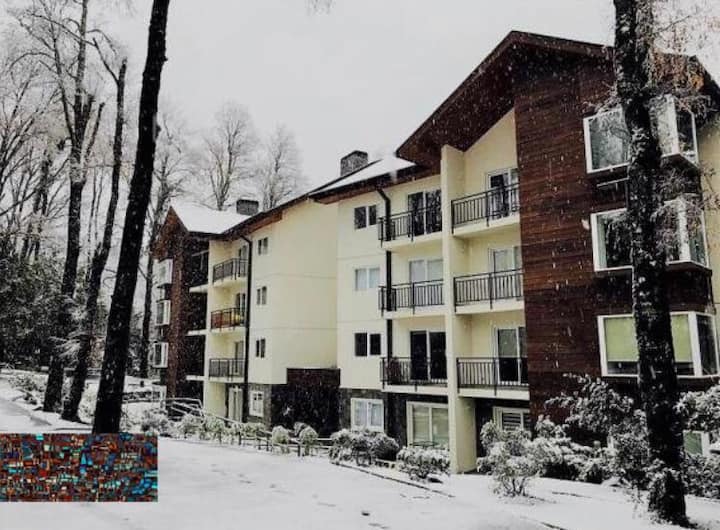 Departamento En La Naturaleza - Pucon