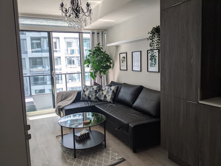 Central Luxury-couch/bed/workspace/gym/pool - Toronto