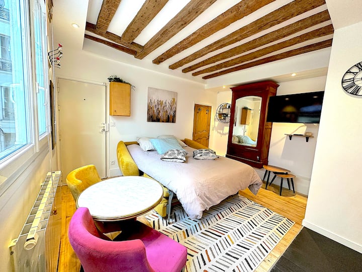 Fully Renovated Studio Historical Paris - 巴黎