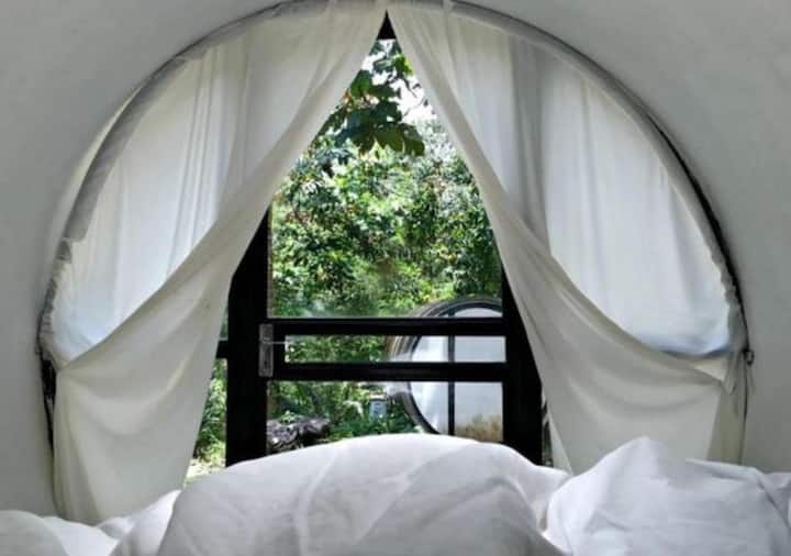 Time Capsule - Garden View - Nature Escape - Sungai Lembing
