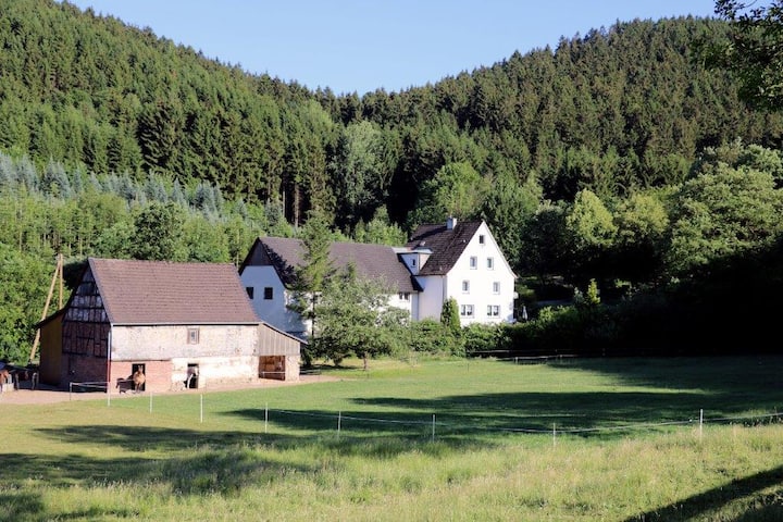 Hof Waldwinkel Ferienwohnung 2 - Sundern (Sauerland)