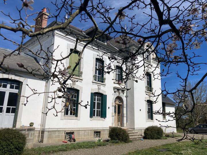 Chambre D'hôtes - Lourdes