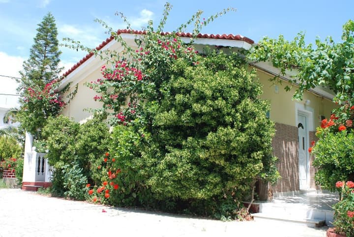 Manao Summer Two-bedroom Apt 1 - Zakinthos