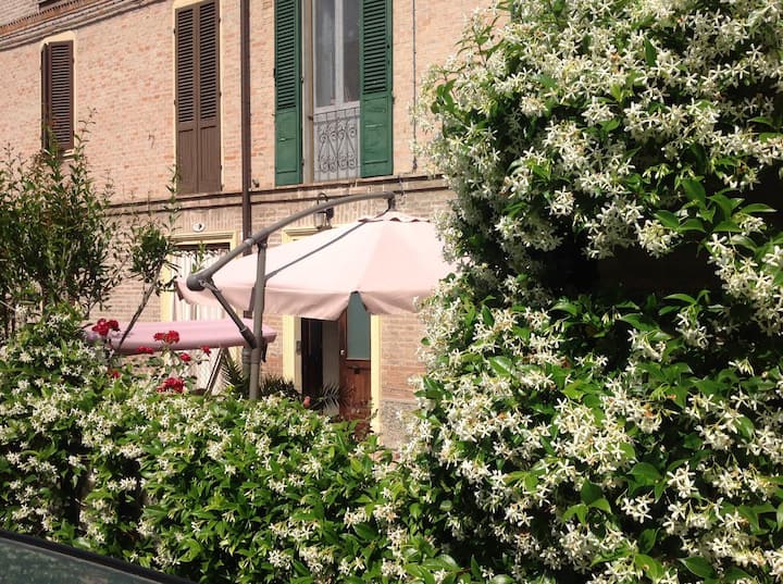 Modena Park - Modena