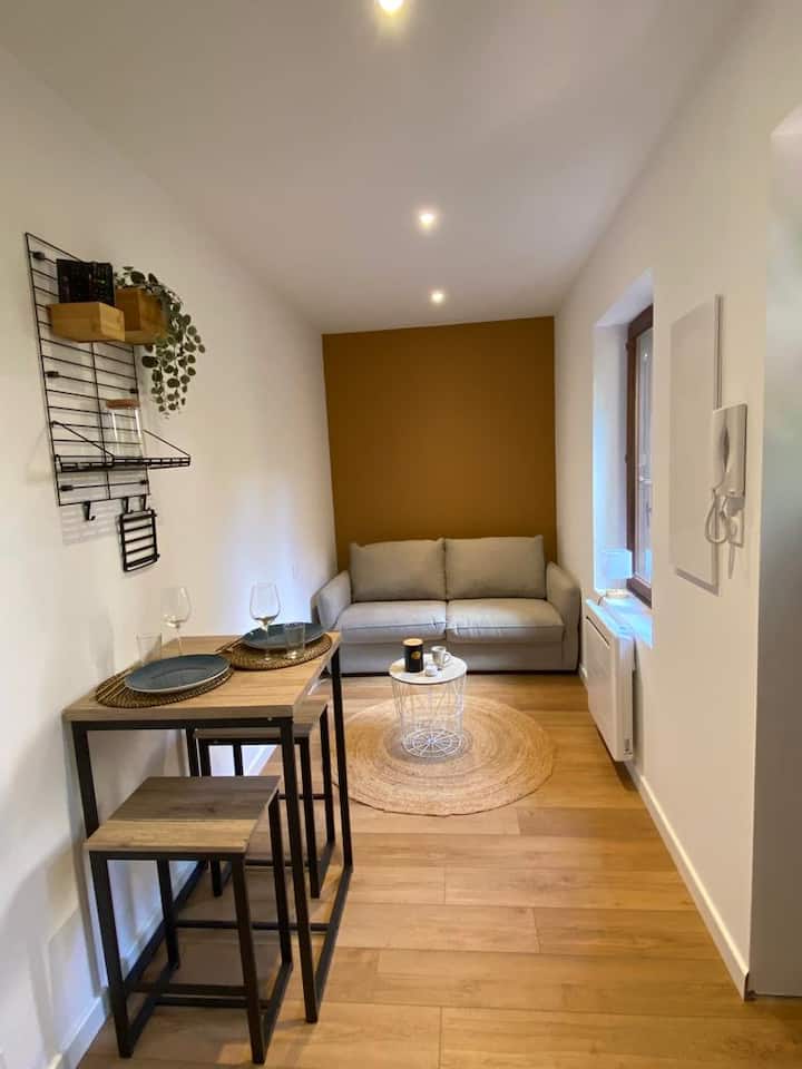 Le Pti'toulousain 23 - Studio Centre Ville - Toulouse