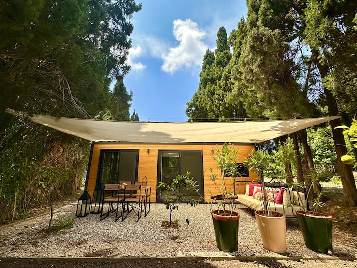 Zeytincik Tiny ÇEşme Private 6 - Ilıca
