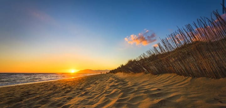 Beach Life Marbellas Best Beach! - Marbella