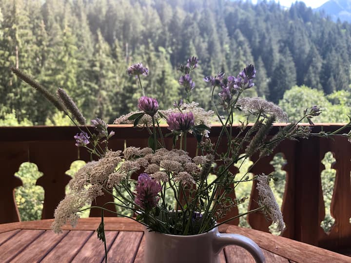 Chalet Apartment With Balcony & Mountain View - Châtel