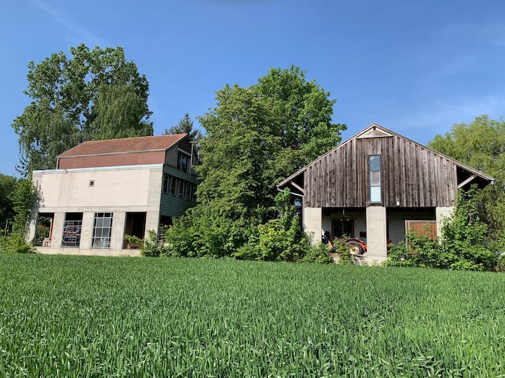 Maison Atelier Dans La Prairie - Blotzheim
