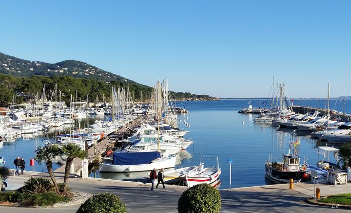 Lumineux T 2 Proche Des Plages - Carqueiranne