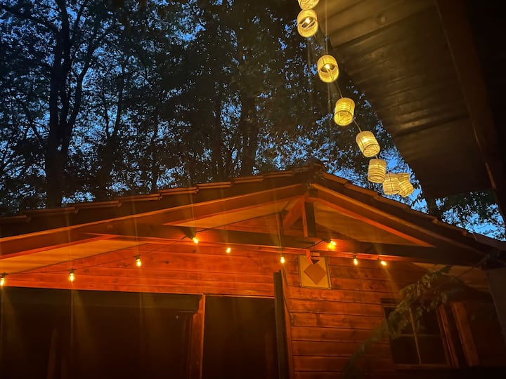 Cabane Dans Un Bois De Genève - Gex