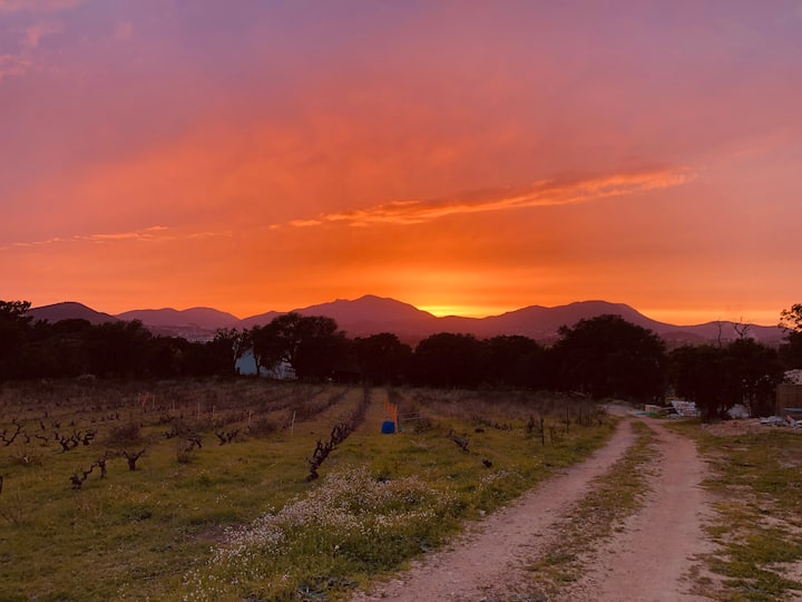 Location Rez De Villa - Bastelicaccia