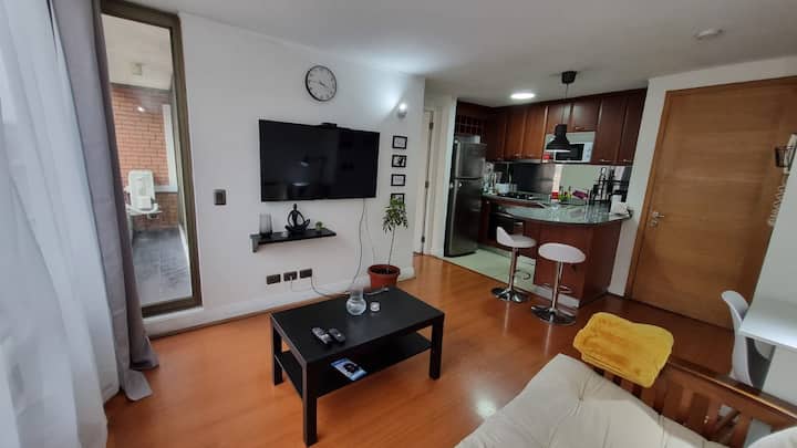 02. Cozy Apart. King Size, Parking, A/c, P Valdivi - Providencia