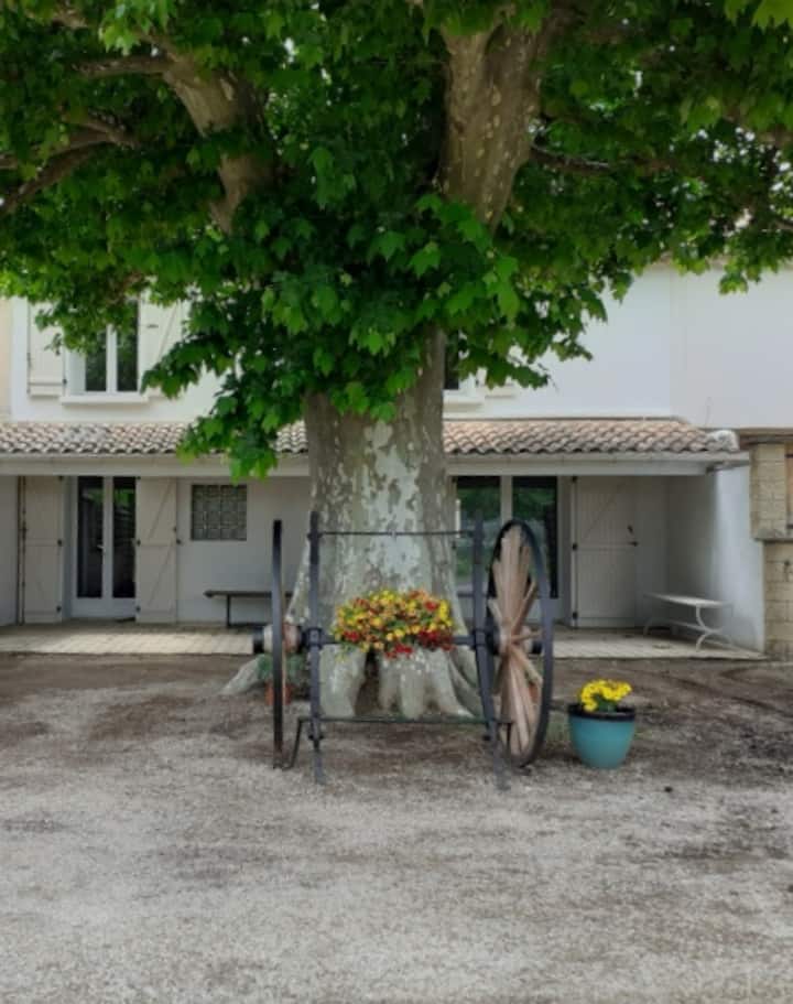 Mas Provençal - Sénas
