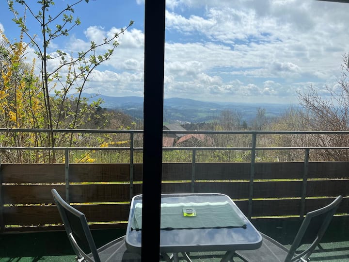 Ferienwohnungen Bayerischer Wald Mit Pool (F123) - Freyung