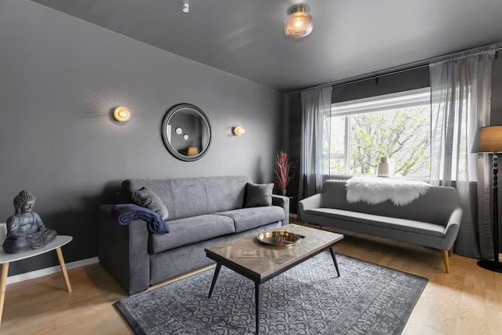 Cozy 2br Apartment - Reykjavik