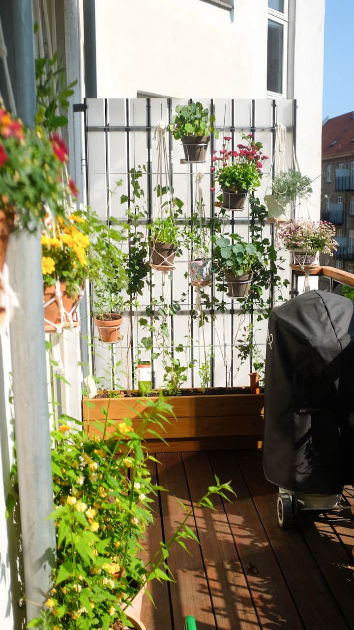 Charming Flat With Sunny Balcony - Copenhaguen