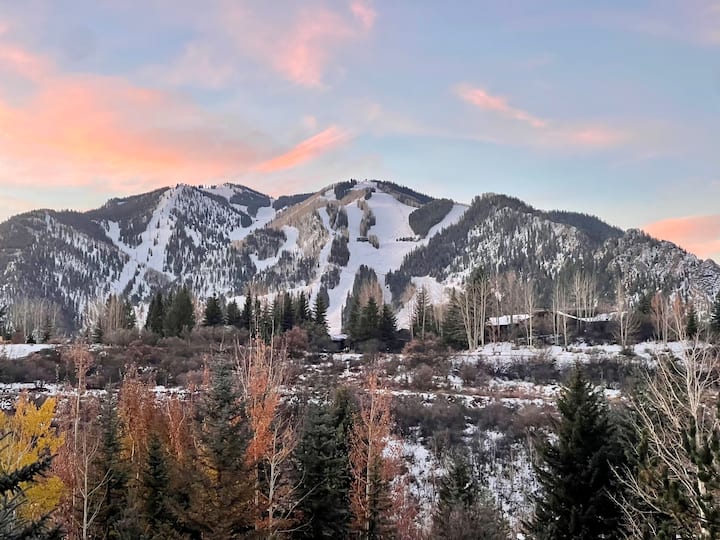 Aspen 3,016 Sq Ft 9mm Sleeps 10 Red Mtn Home Views - Aspen, CO