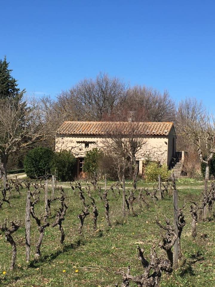 Cabanon - Gordes - Gordes