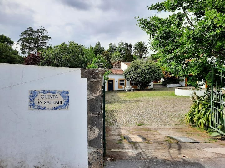 Adega Lua Cheia - Angra do Heroísmo