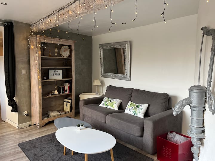 Appartement De Caractère - Solaize
