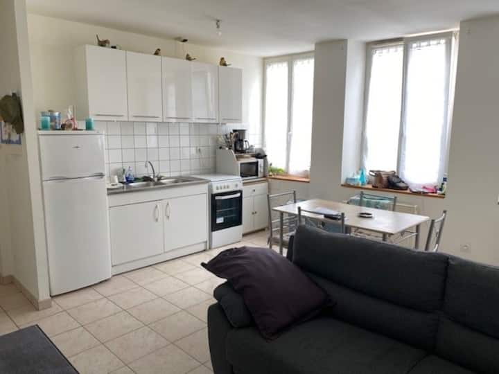 Appartement De La Tranquillité 4 Personnes - Rambervillers