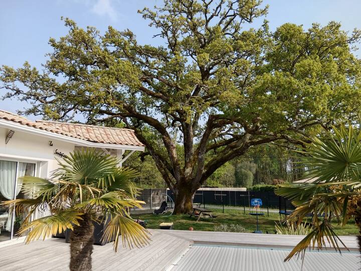 Maison 120m² , Piscine Chauffée - Salles