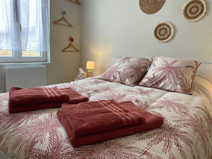 Charmante Maison Avec Cour Privative - Cognac