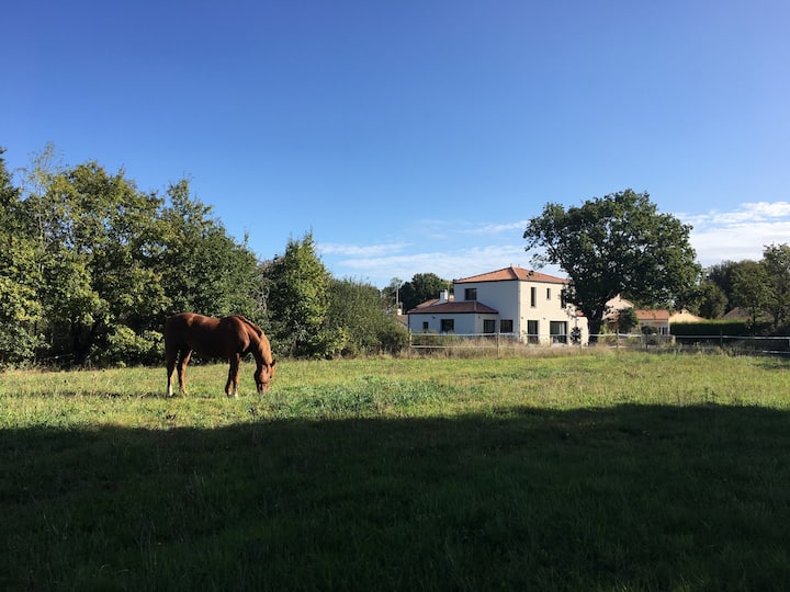 Entre Terre Et Mer - Saint-Brevin-les-Pins