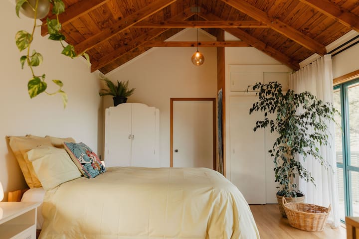 Buffalo Lodge Studio - Coromandel