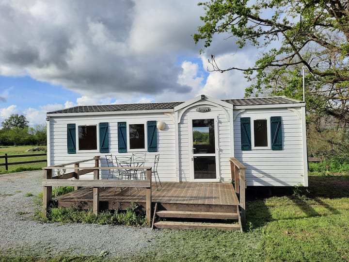 Nature Et Poneys - Dépaysement Assuré - Montjean-sur-Loire