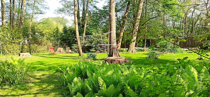 Oase Schönberg - Schönberg