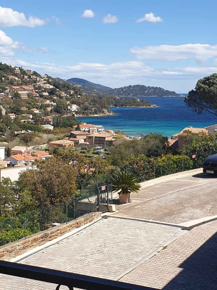 Résidence Le Lavandou "Elo" Logement Du Haut - Saint-Clair