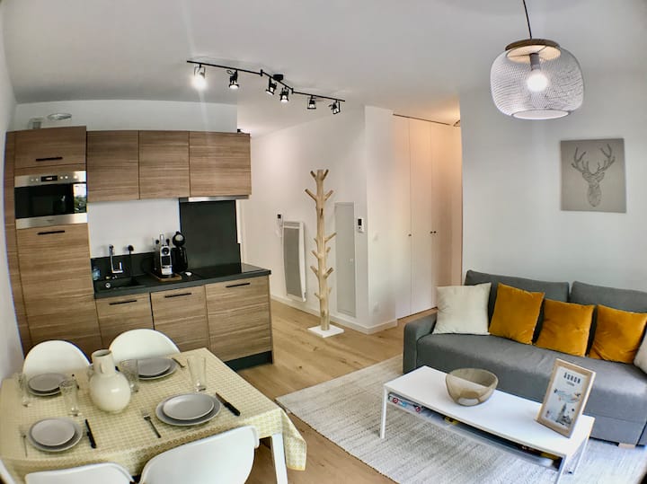 Auron- Magnifique 3p Neuf - Saint-Étienne-de-Tinée