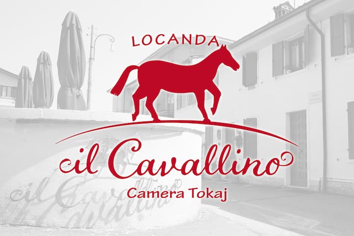 Locanda Il Cavallino, Camera Tokaj - Valeggio sul Mincio