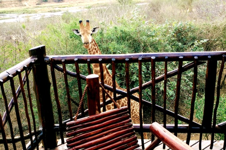 Majuli River Lodge - Overlooking Kruger Park - Marloth Park
