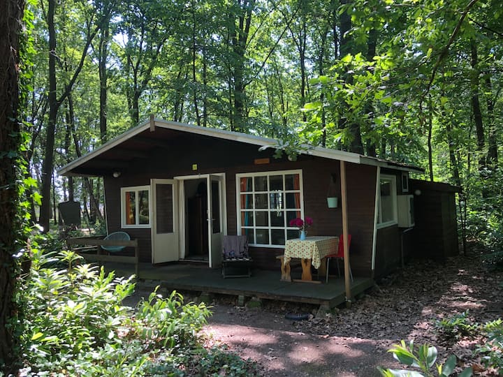 The Chocolate Box In The Woods - Lanaken