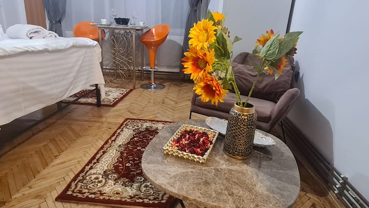 Apartament De Lux Ultracentral Strada Eroilor - Cluj-Napoca