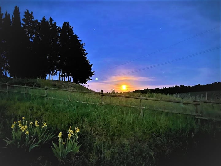 Podere La Selva - Rapolano Terme