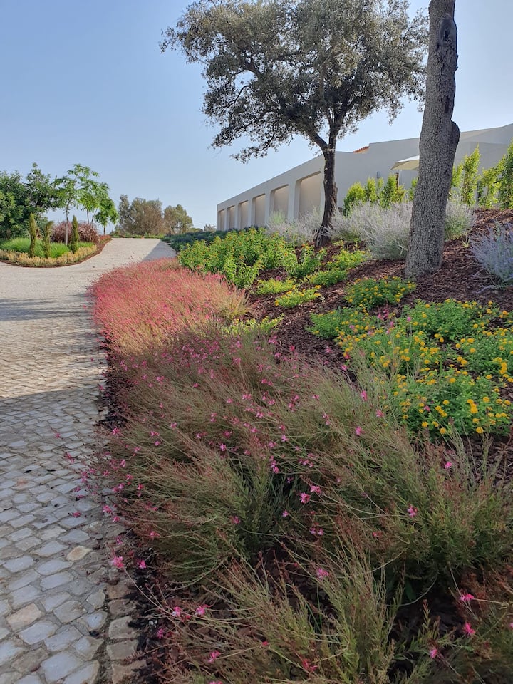 Suites Sunny Hill B&b Suite Jade Algarve Oost - Olhão