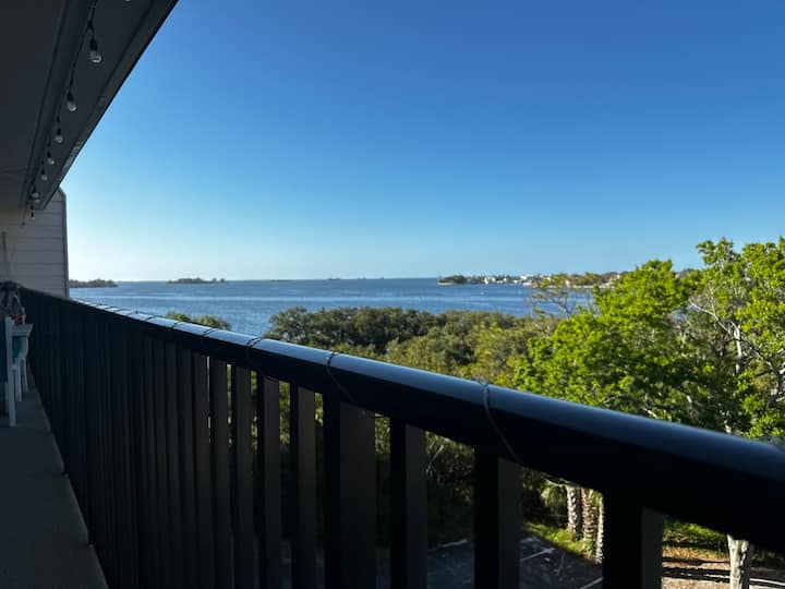 Winter Beach Sanctuary 120 Day Minimum - Dunedin, FL