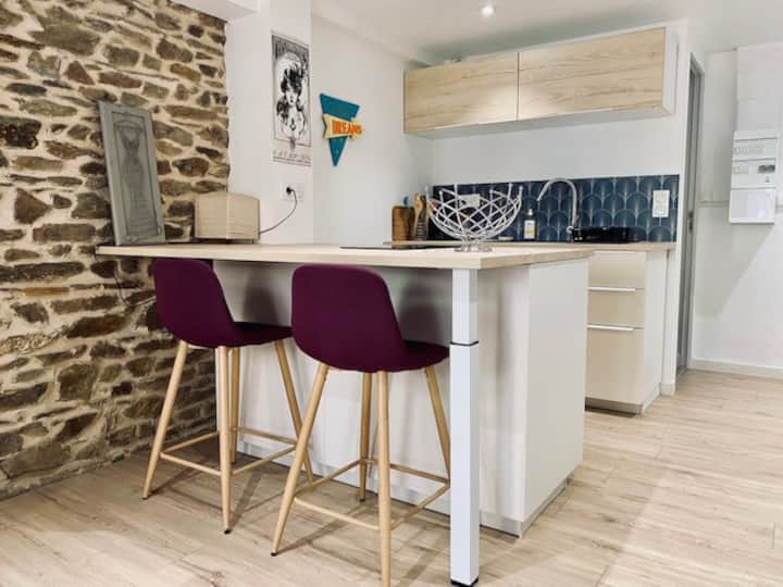Studio Meublé Au Cœur De Rennes - Rennes