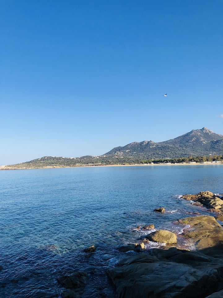 Appartement Proche De La Plage - Algajola