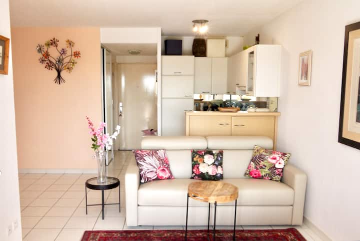 Front De Mer T2  Rdc Climatisé.  Super Appt. - Canet-en-Roussillon