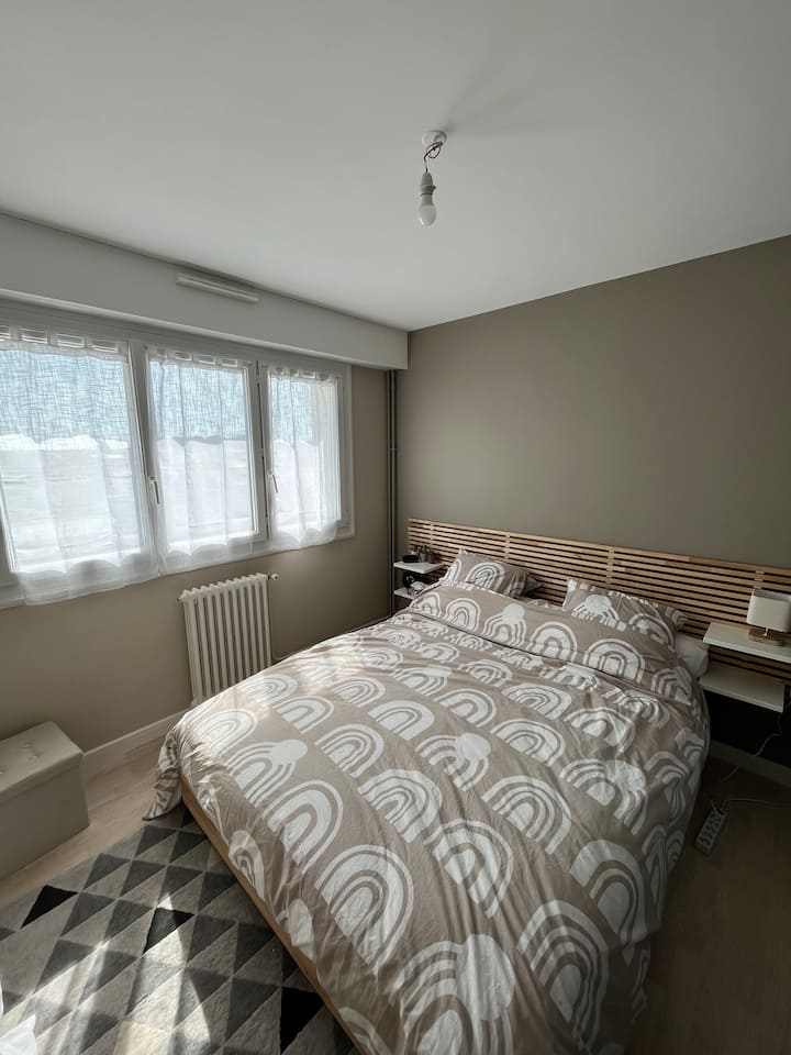 Appartement - Le Mans - Le Mans