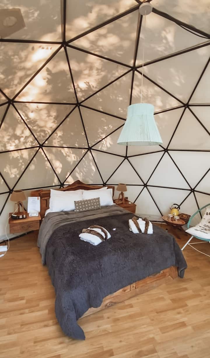 Domo La Flor De La Vida - Villa Rosa