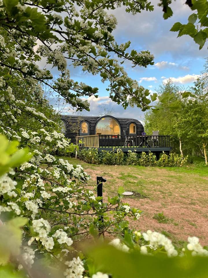 Waggy's Wood Den - 
Secluded Private Tiny Home - Forest of Dean