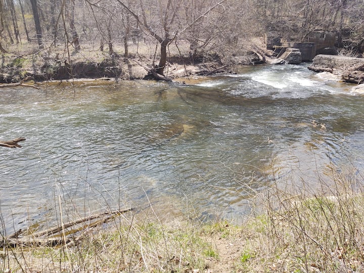 Primitive Camping Little River - 플로이드